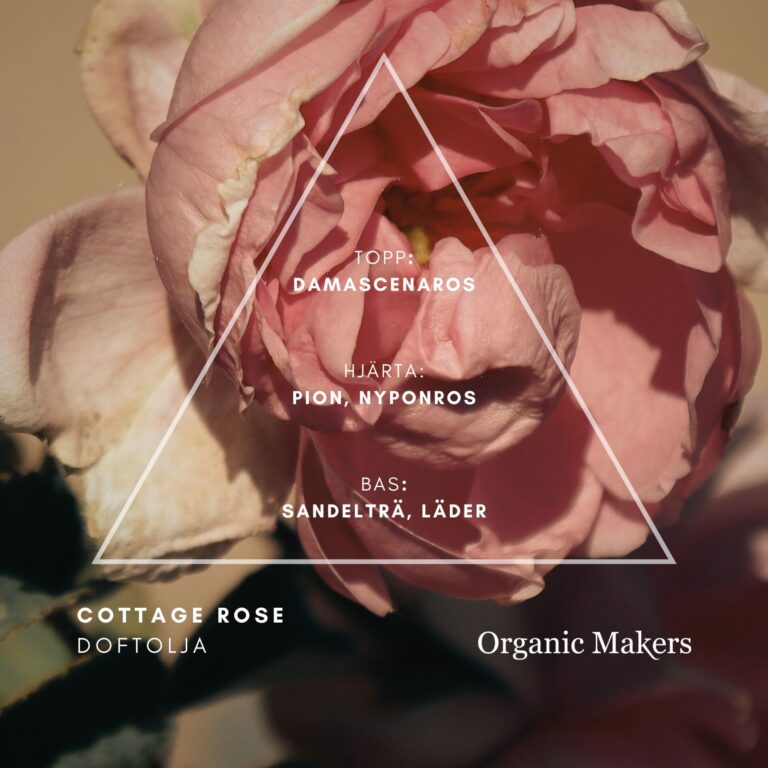 Cottage Rose Doftolja - Organic Makers